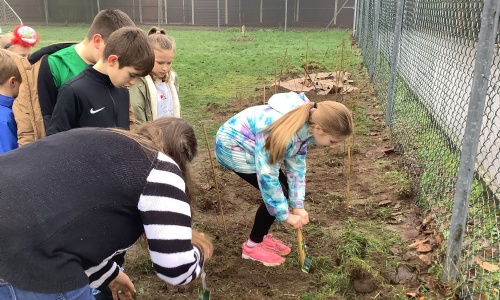 Nelson Academy - Latest News