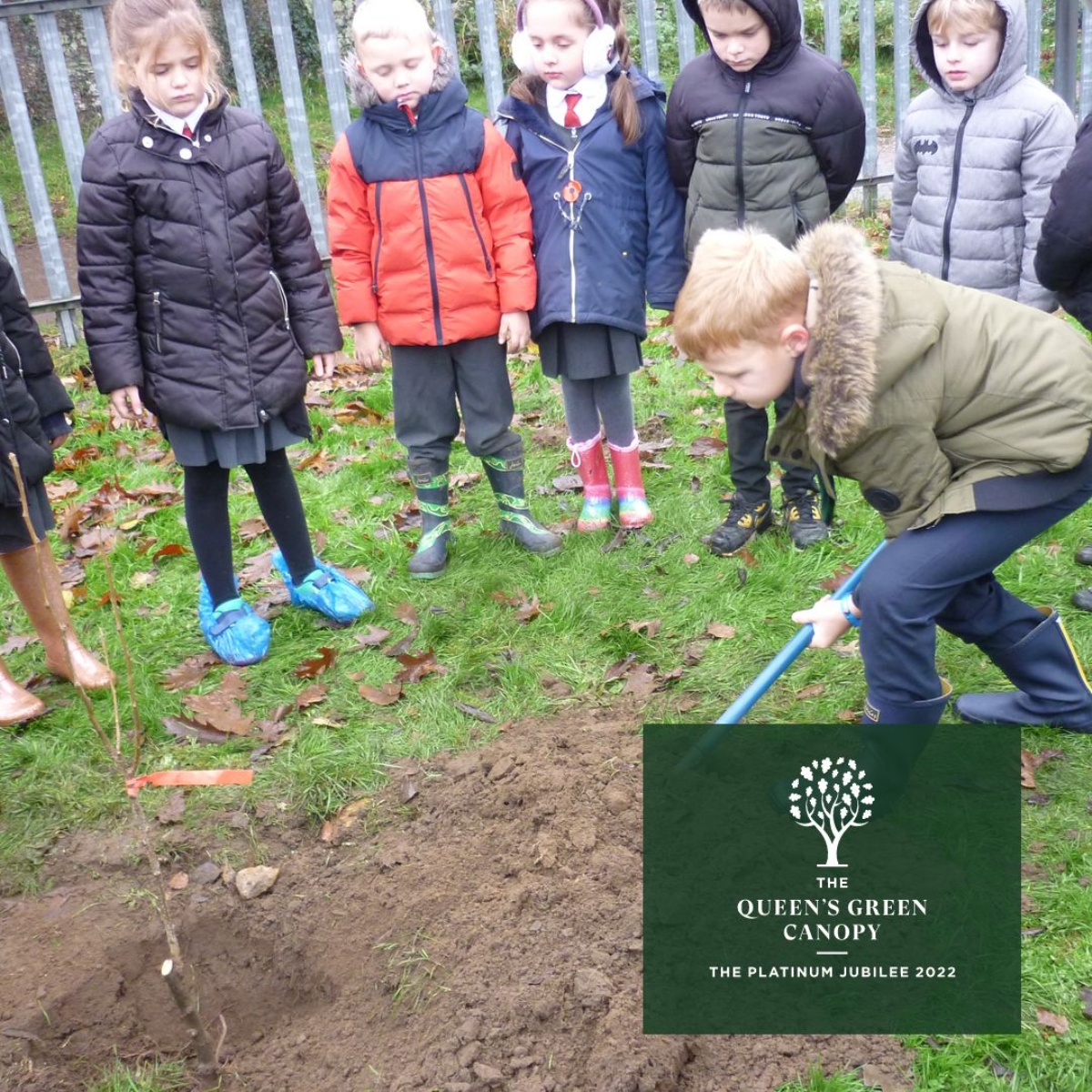 Nelson Academy - Queens Green Canopy Plaque