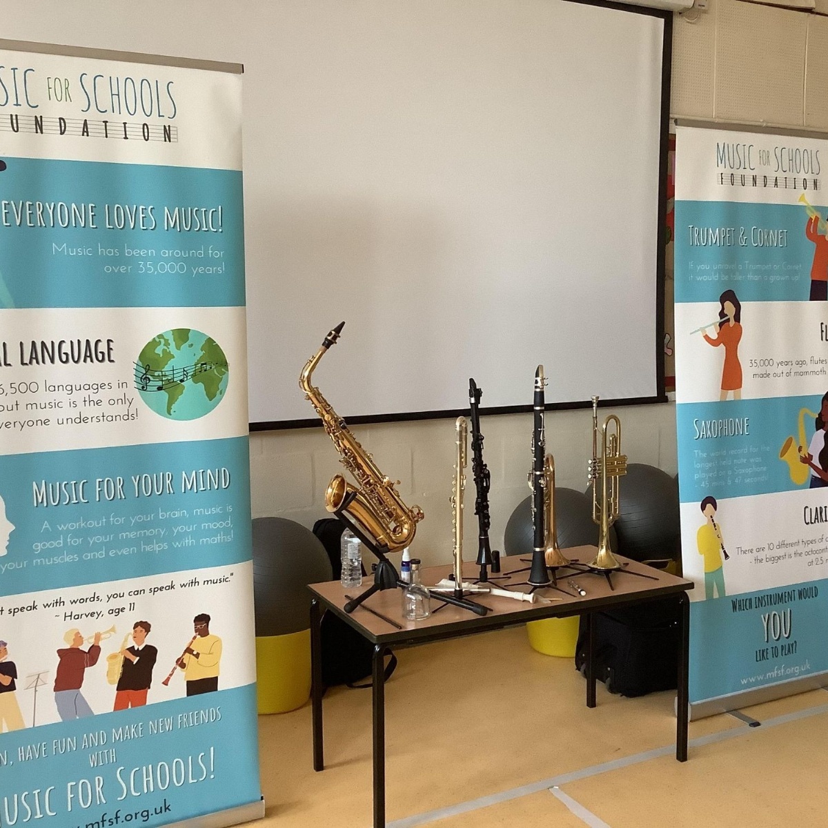 Nelson Academy - Learn To Play An Instrument In School