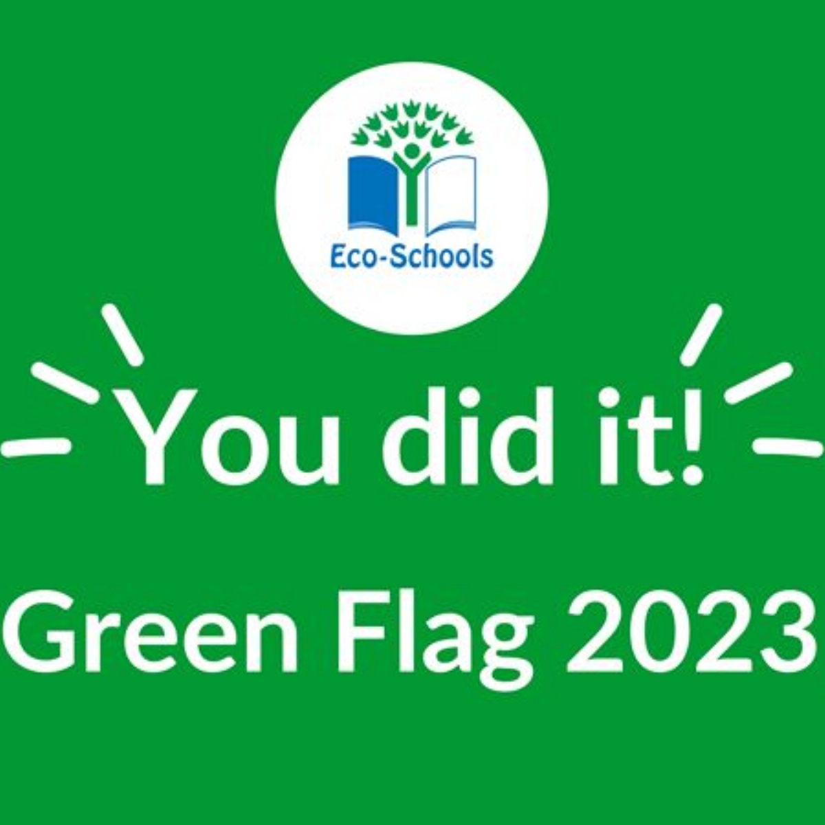 Nelson Academy - Nelson Academy Achieves Distinction