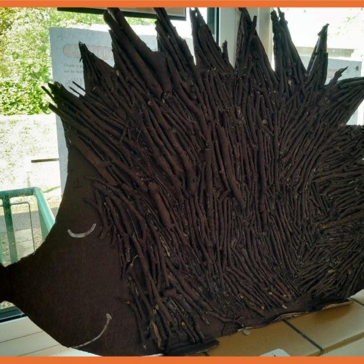 Nelson Academy - Hedgehog Friendly School